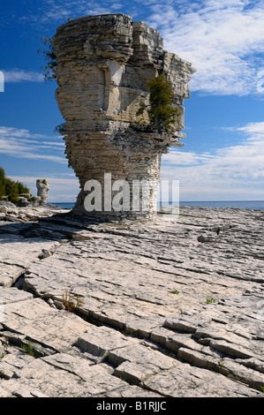 Sea stacks rising out of Niagara Escarpment limestone on Flowerpot ...