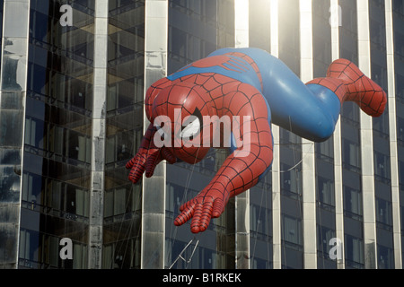Spiderman Float, Thanksgiving Parade, Manhattan, New York, USA Stock ...