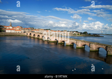 Berwick-Upon-Tweed from Tweedmouth early 1900s Stock Photo - Alamy