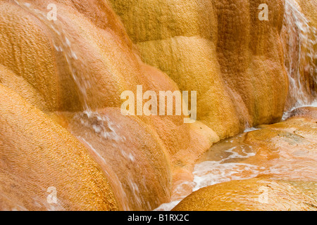 Ampefy Geyser, detail, Madagascar, Africa Stock Photo - Alamy