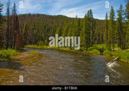 Idaho The Secesh river as seen from the trail to Loon Lake above McCall ...