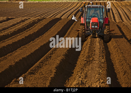 Farmer with tractor tending ploughed furrows getting ready to plant ...