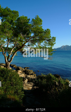 Deep blue Mediterranean sea view from Cape Greco - Cyprus near sea ...
