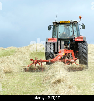Tedding hay on a Cotswold farm Gloucestershire England Stock Photo - Alamy