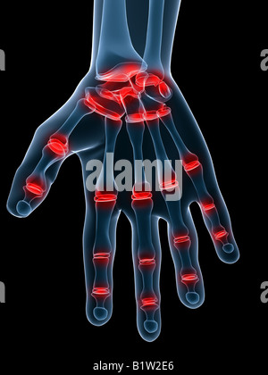 highlighted hand and finger joints Stock Photo - Alamy