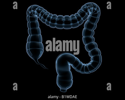 cross section cut of human body cells under a scientific microscope ...