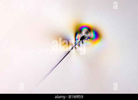 stress patterns around a crack in an acrylic plastic plastic sheet ...