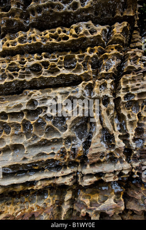 Hopeman Moray Coast Scotland sandstone cliff with the entrance to ...