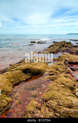 The rocky shoreline at Goodrington South near Paignton in Devon looking ...