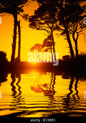 sunset in Northern California Stock Photo - Alamy