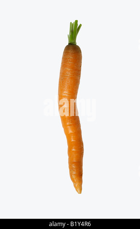 SINGLE CARROT CUT OUT Stock Photo - Alamy