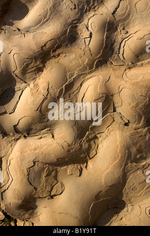 Ripple forms on rock Stock Photo - Alamy