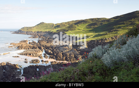 Grunta Beach and Morte Point, North Devon Stock Photo - Alamy