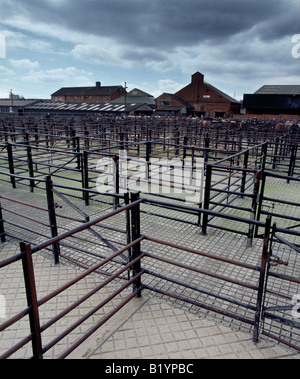Empty sheep pens in cattle market Stock Photo - Alamy