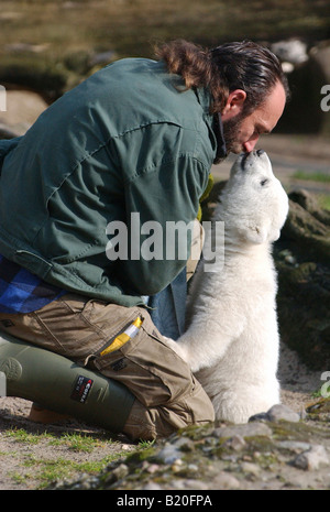 Polar bear Knut and zoo-keeper Thomas Doerflein, Berlin, Germany Stock ...