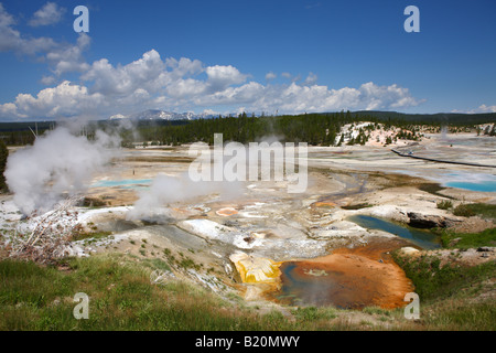 Norris geyser basin in the Yellowstone National park, USA Stock Photo ...