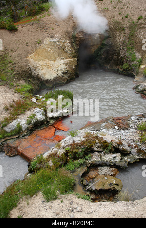 Mud Volcano Area, Yellowstone National Park, Wyoming, USA Stock Photo ...