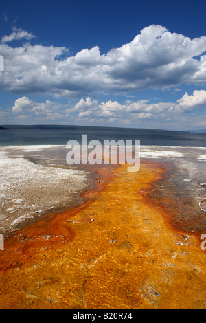 Lake in the spring park Stock Photo - Alamy