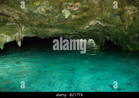 Mexico Yucatan Gran Cenote close to Tulum stairway signs Central ...