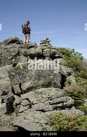 Hiker on Caps Ridge Trail during the summer months Located in the White ...