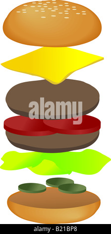 Hamburger illustration, breakdown into sections, fastfood diagram Stock ...