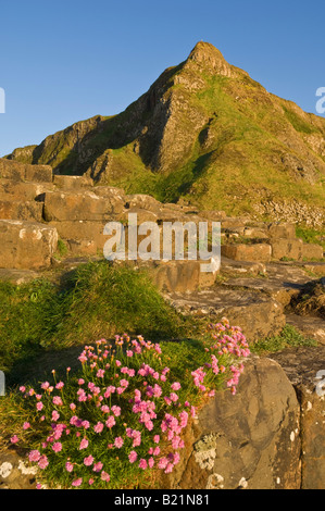 Giants Causeway, an area of hexagonal basalt stones, created by ancient ...