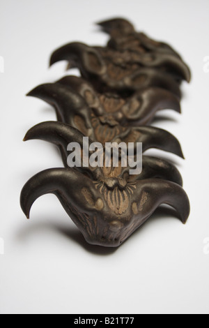 trapa bicornis, bull nut, ling nut, devil pod, bat,nut, buffalo nut ...