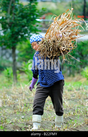 A Japanese farmer is working on his field inside an agricultural area ...