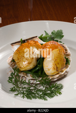 Queen Scallops served in shell Stock Photo - Alamy