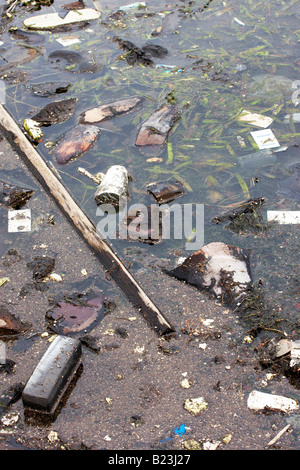 Litter thrown into stream Stock Photo - Alamy