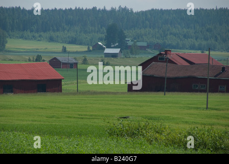 Finnish countryside with farmhouses and barns and green fields Stock ...