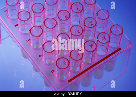 Specimens in tubes in rack Stock Photo - Alamy