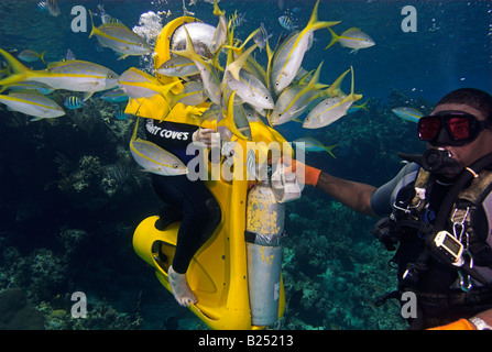Diving the Yellow Submarine Stuart Cove s Dive Nassau Paradise Island ...