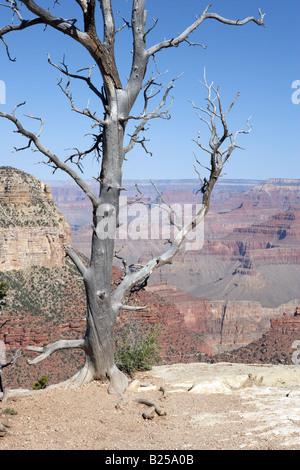 A scenic view from Hermit Rim Road in the Grand Canyon National Park ...
