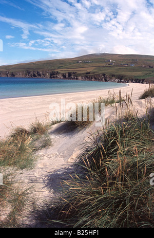 Sandy beach, Bay of Scousburgh, Shetland Islands, Scotland Stock Photo ...