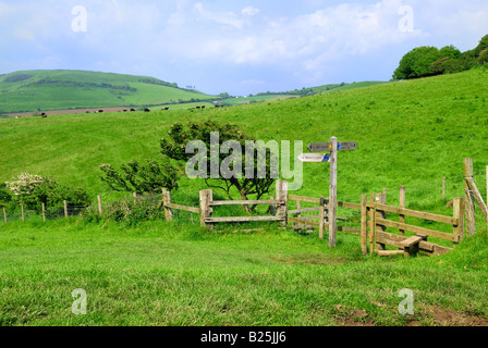 walking stile rambler path Stock Photo - Alamy