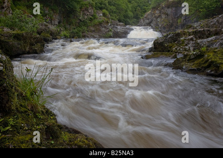 Salmon Leap, Falls of Shin, Lairg, Achany Glen, Sutherland, Scotland ...