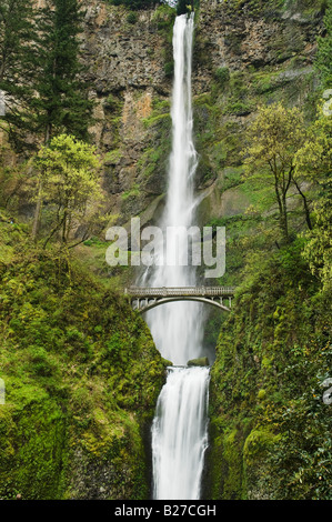 Multnomah Falls and bridge Mount Hood National Forest Columbia River Gorge National Scenic Area ...