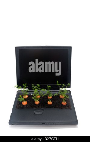 A laptop computer with carrots growing through the keyboard Stock Photo ...