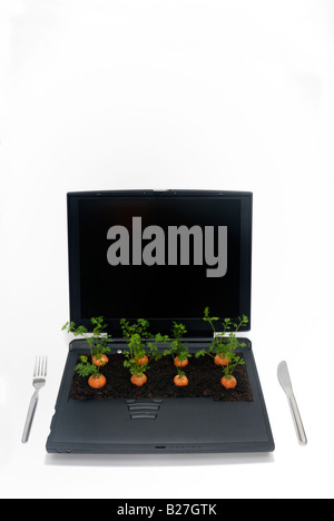 A laptop computer with carrots growing through the keyboard Stock Photo ...