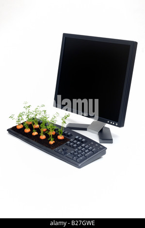 A desktop computer with carrots growing through the keyboard Stock ...
