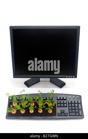 A desktop computer with carrots growing through the keyboard Stock ...