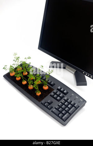 A desktop computer keyboard with carrots growing through the keyboard ...