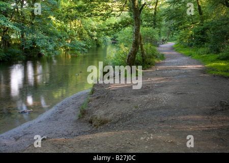 river lynher near cadsonbury fort cornwall Stock Photo - Alamy