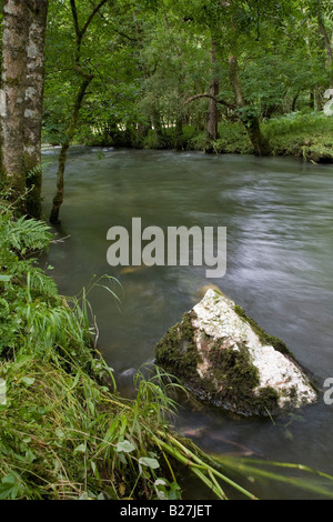 river inny cornwall Stock Photo - Alamy