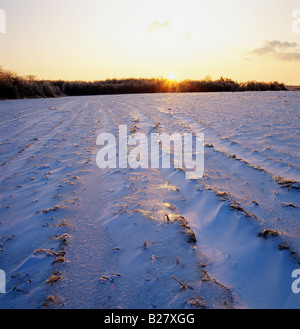 Sunset over the farm fields Stock Photo - Alamy