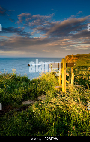 The Cliffs at Saltwick Bay, Whitby Stock Photo - Alamy