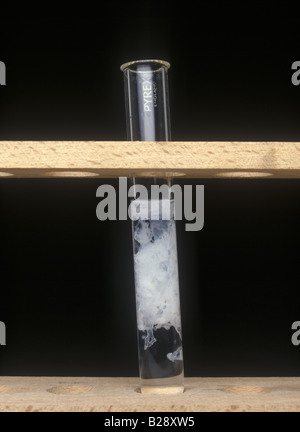 A test tube in laboratory with a precipitate Stock Photo - Alamy