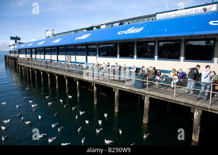 Seagulls, Seattle, Washington, USA Stock Photo - Alamy