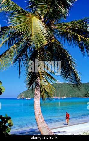 Maho Bay Beach St Johns US Virgin Islands Caribbean Stock Photo - Alamy